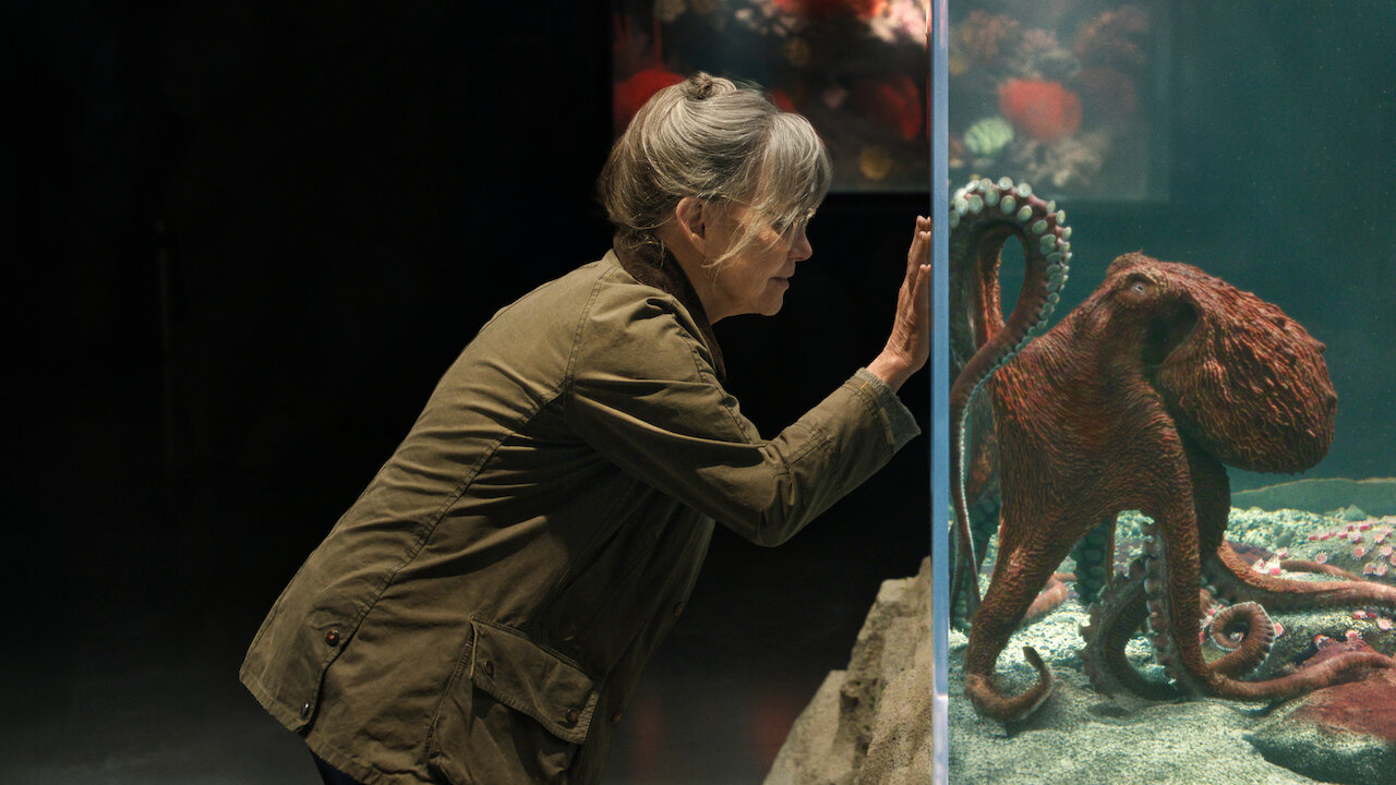 Watch Remarkably Bright Creatures | Netflix Official Site